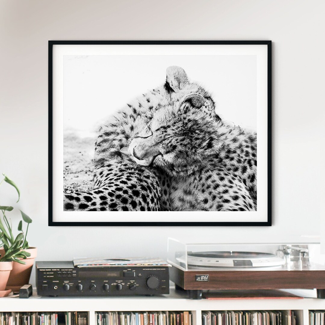 Two Cheetahs Wall Art, Cheetah Print Art in Black and White, African ...