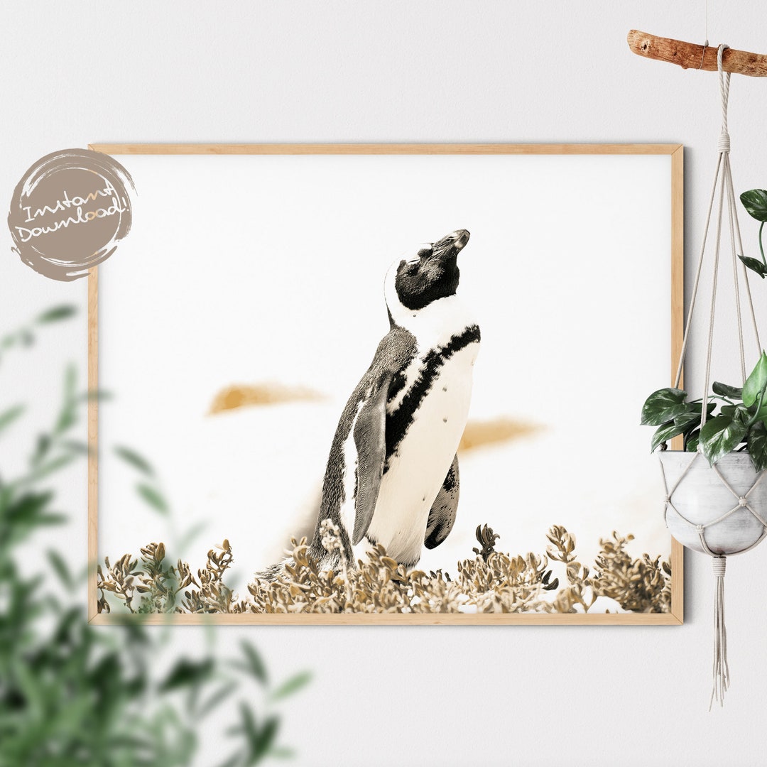 Vintage Penguin Photo Print, Africa Safari Wall Art (digital Download ...