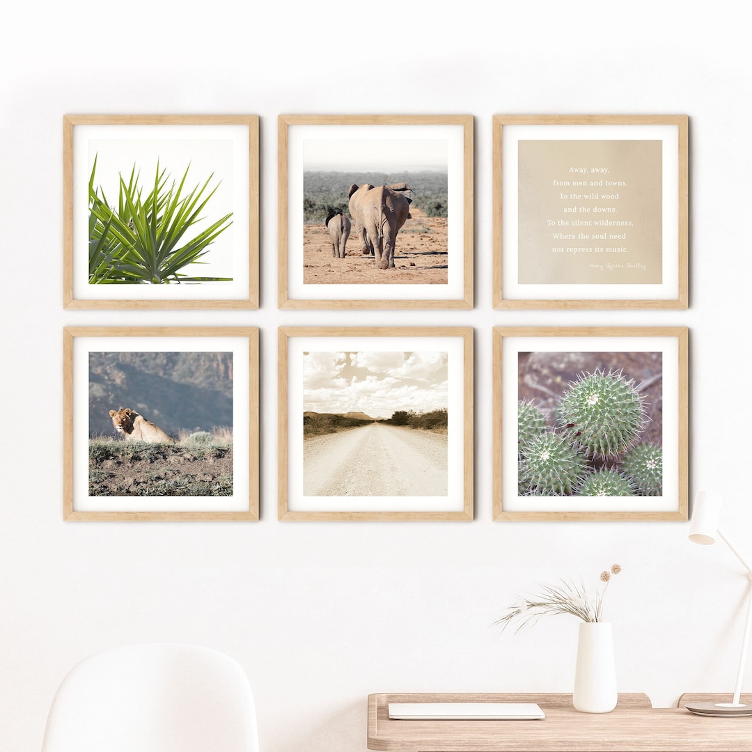 African Wall Art, Gallery Wall Set of 6, South African Gifts, Lion ...