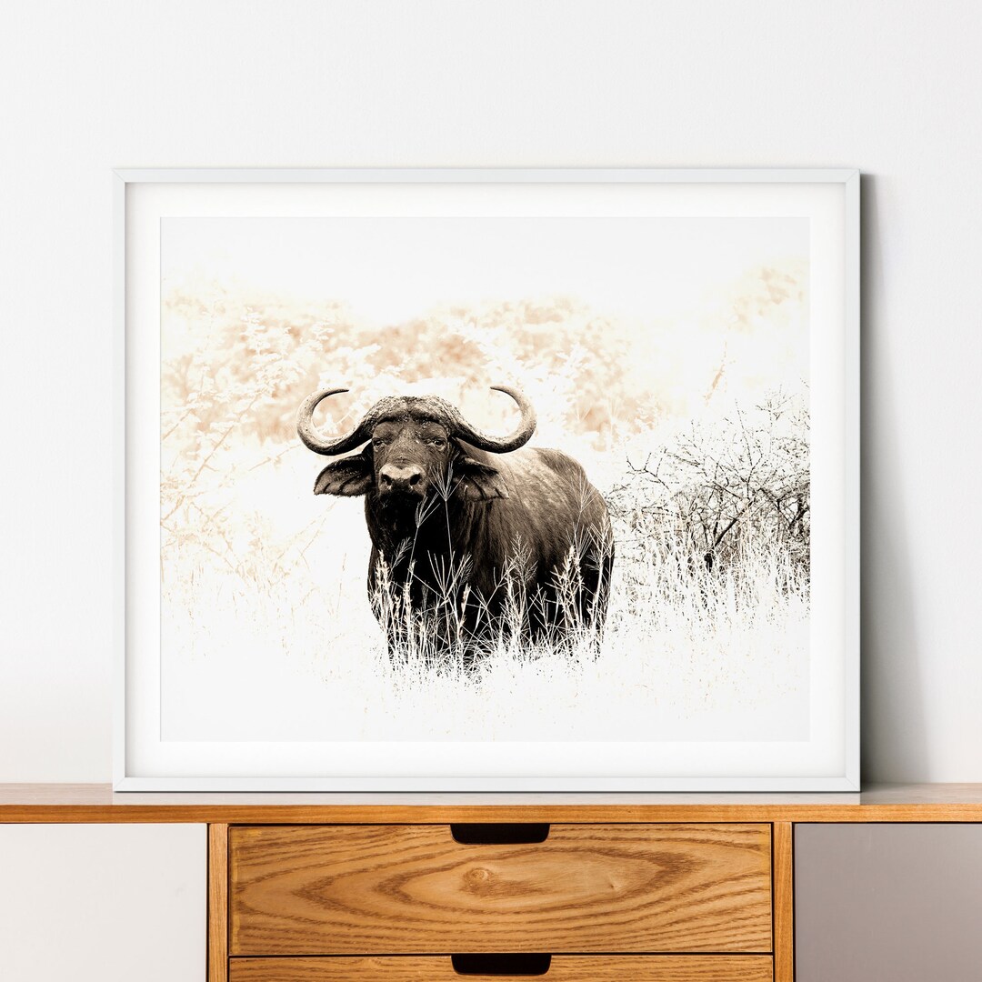 Buffalo Print Wall Art, African Buffalo Photo Print for a Bohemian ...