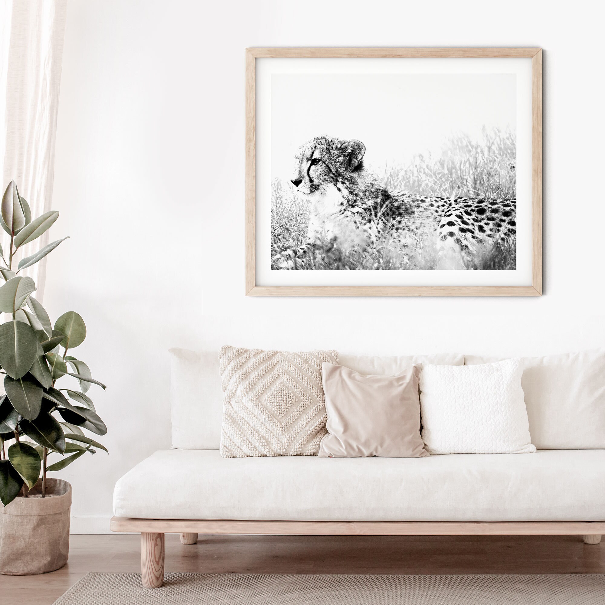 Cheetah Photography, Safari Animal Photo Art, Black and White Cheetah ...