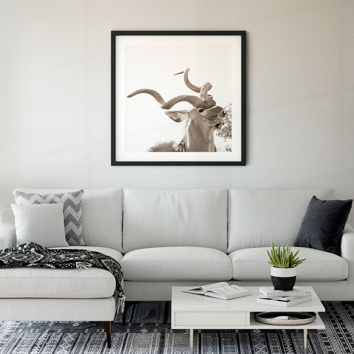 KUDU Art Print Digital Download African Animals Best African | Etsy