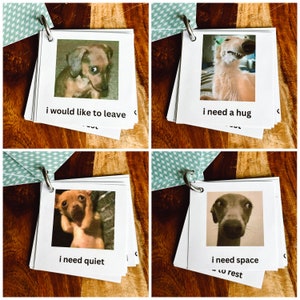 Custom Themed Set of Communication Cards AAC, Nonverbal Aid, Autism ...