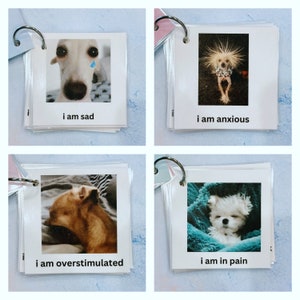 Silly Dog Themed Communication Cards (AAC, Nonverbal Aid, Autism ...
