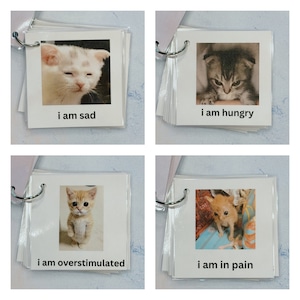 Silly Cat Themed Communication Cards (AAC, Nonverbal Aid, Autism ...