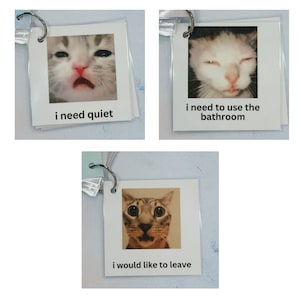 Silly Cat Themed Communication Cards (AAC, Nonverbal Aid, Autism ...