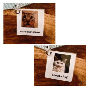 Silly Cat Themed Communication Cards AAC, Nonverbal Aid, Autism ...