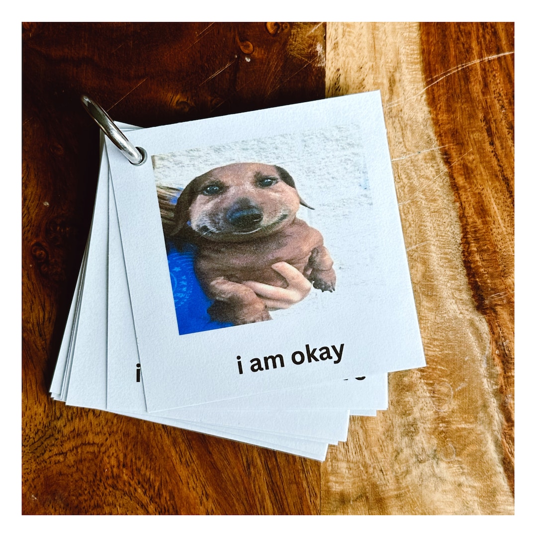 Silly Dog Themed Communication Cards AAC, Nonverbal Aid, Autism ...
