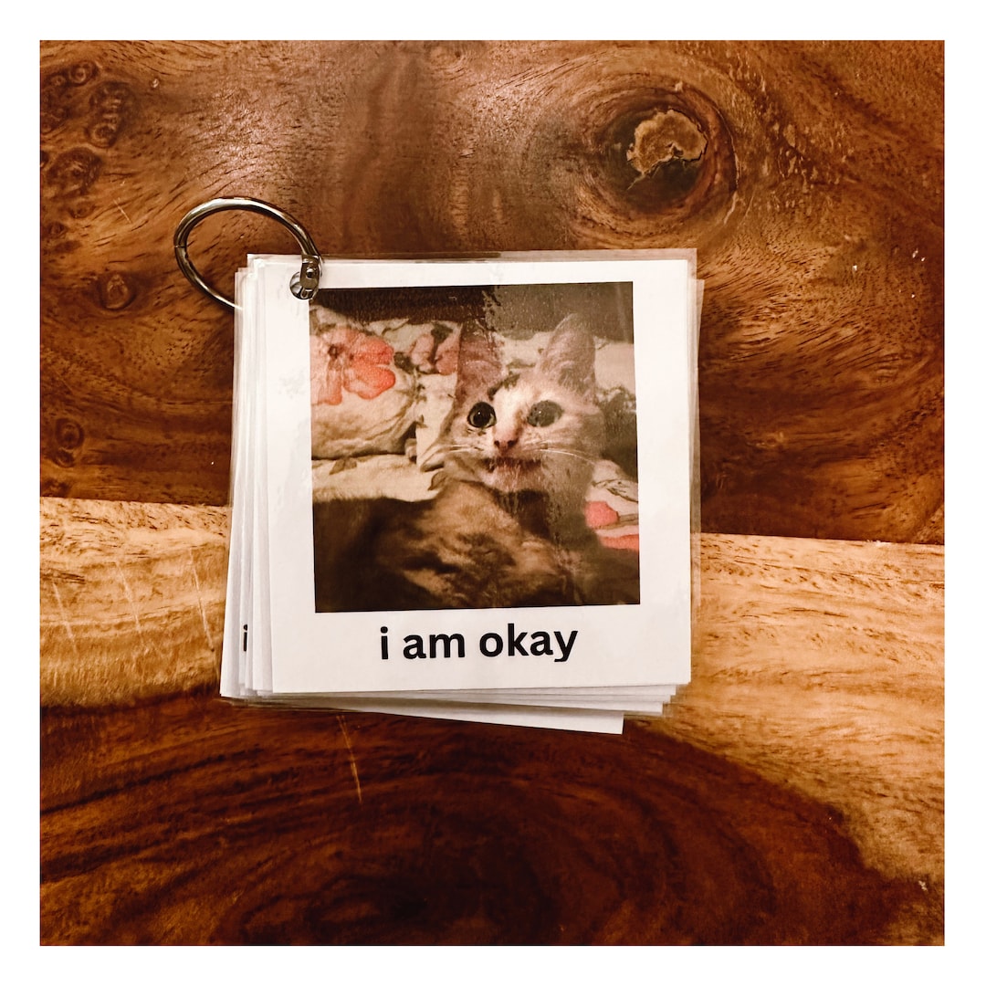 Silly Cat Themed Communication Cards AAC Nonverbal Aid - Etsy