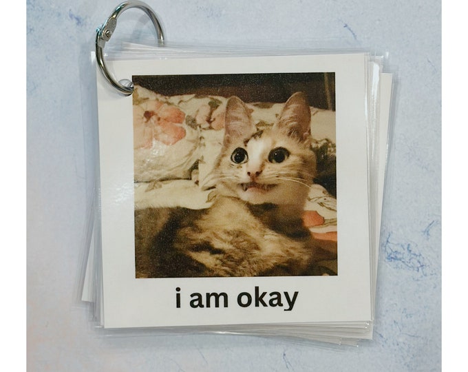 Cat Communication Cards | Cute Funny Cats Chaotic Autism ADHD ...