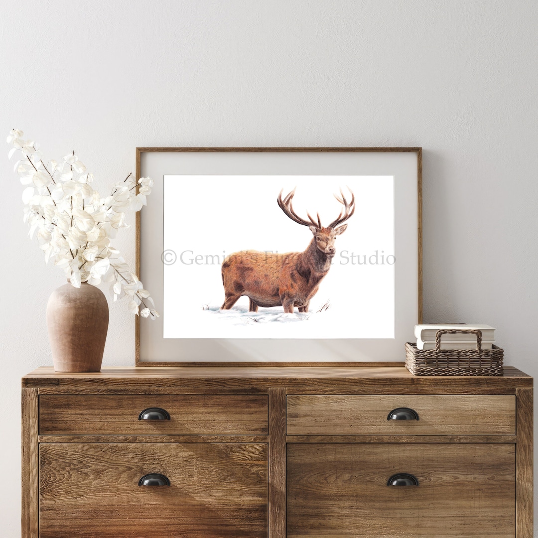 The Majestic King Stag A4 Art Print Art Print Wildlife Art Animal Art ...