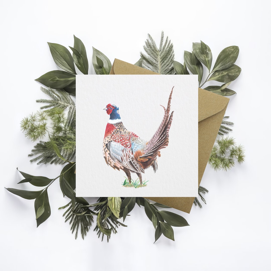 Pheasant Greetings Card | Wildlife Card | Pheasant Card | Countryside ...