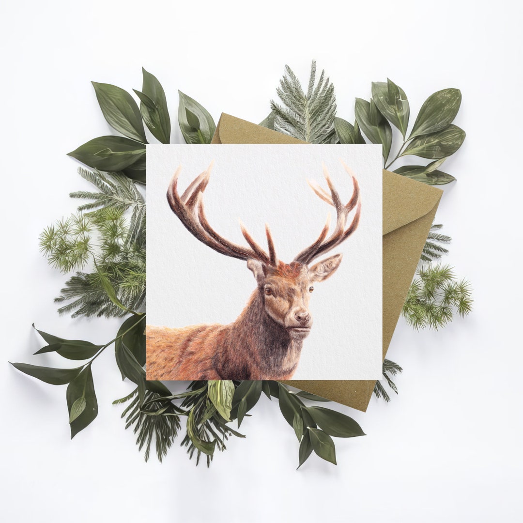 Stag Greetings Card: Original Coloured Pencil Art, Wildlife Christmas ...
