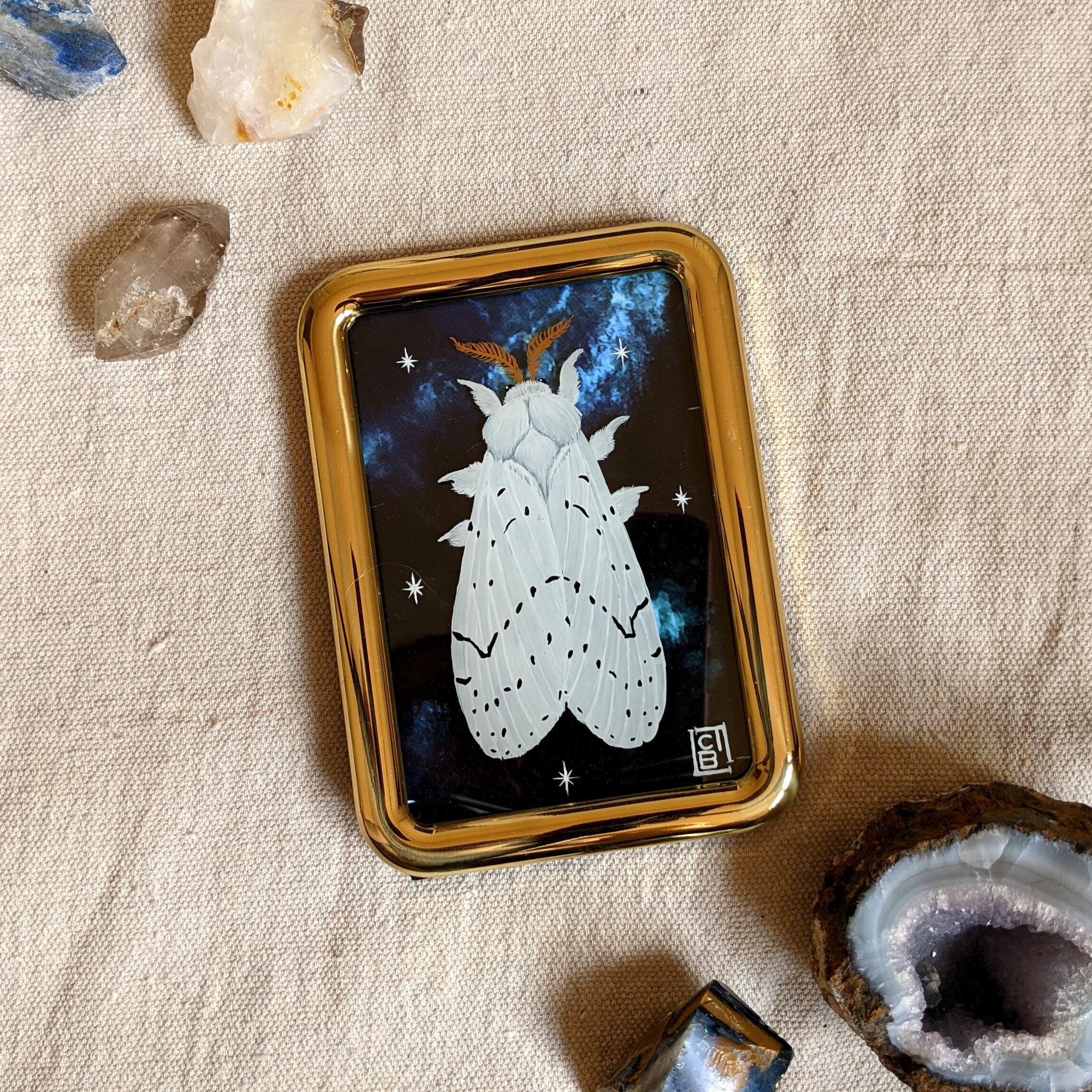 Small Framed Art, Original Moth Painting, Nature Wall Art, Brass Framed ...