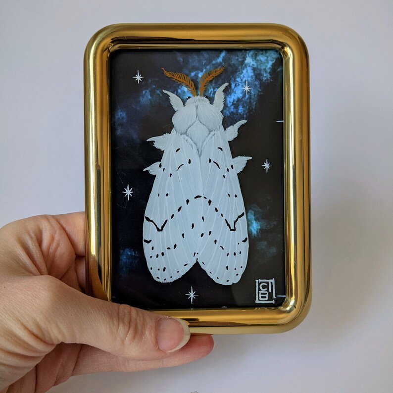 Small Framed Art, Original Moth Painting, Nature Wall Art, Brass Framed ...
