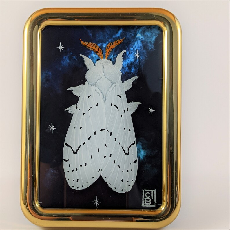 Small Framed Art, Original Moth Painting, Nature Wall Art, Brass Framed ...