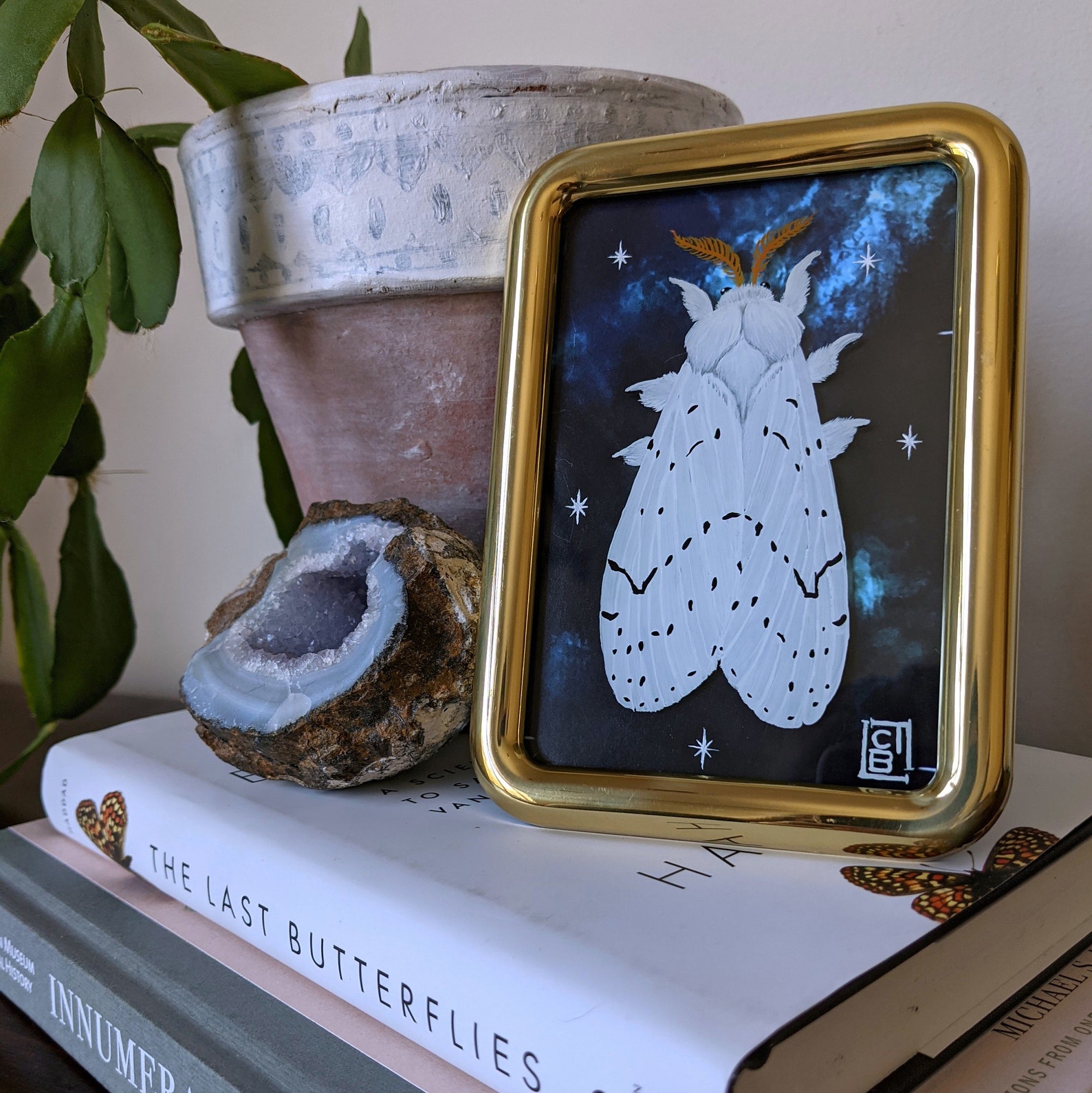 Small Framed Art, Original Moth Painting, Nature Wall Art, Brass Framed ...