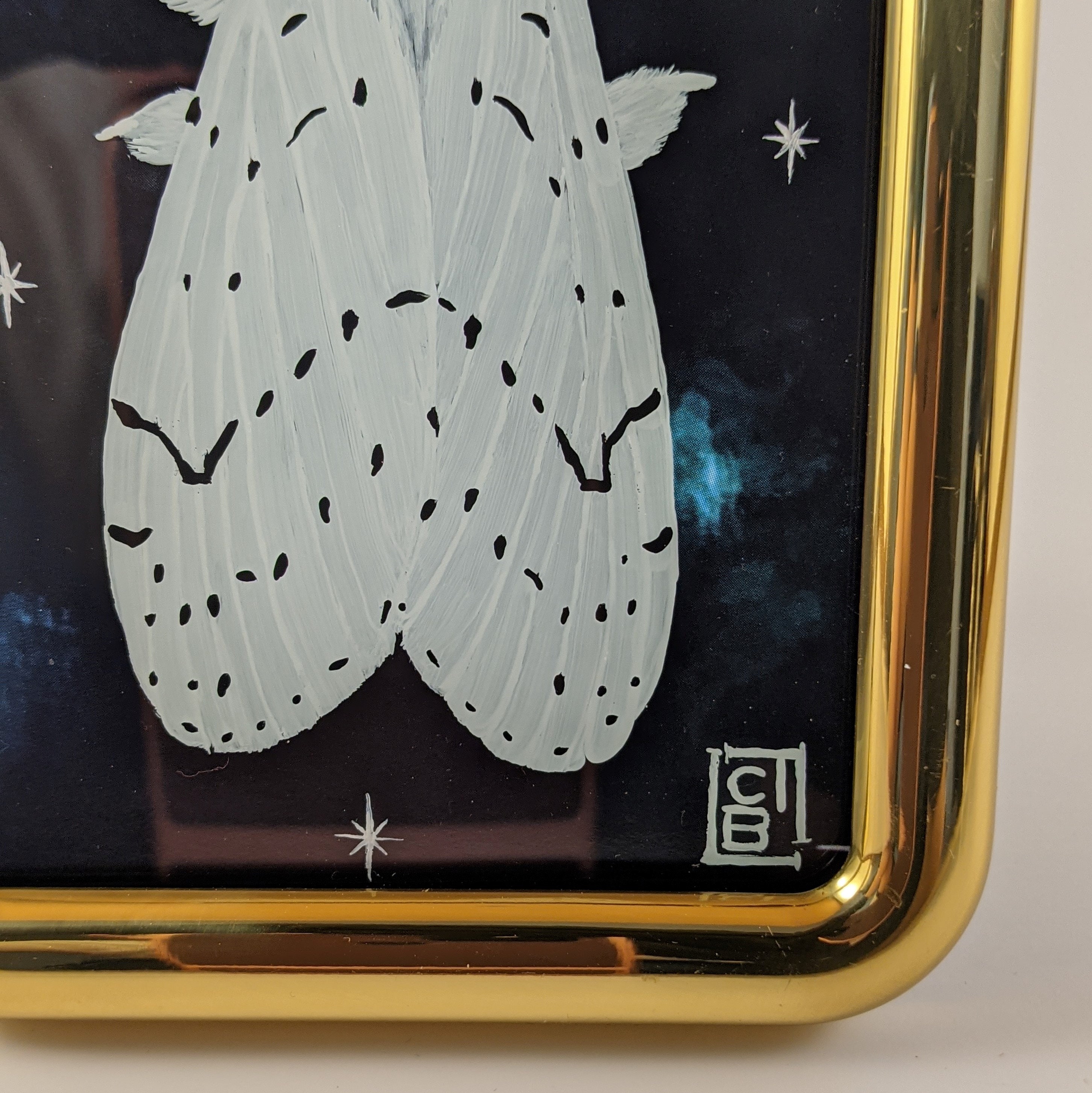 Small Framed Art, Original Moth Painting, Nature Wall Art, Brass Framed ...