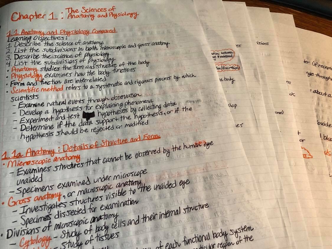 Anatomy And Physiology Chapter 1 Notes Etsy Anatomy And Physiology Chapter 1 Notes Etsy