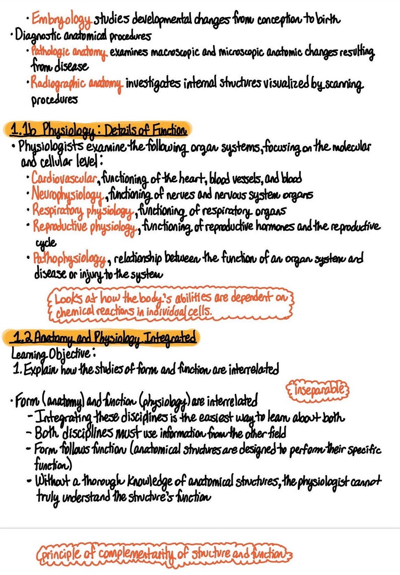 Anatomy And Physiology Chapter 1 Notes Instant Download PDF Etsy UK Anatomy And Physiology Chapter 1 Notes Instant Download PDF Etsy UK
