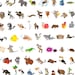 Animal Clip Art Set - Etsy