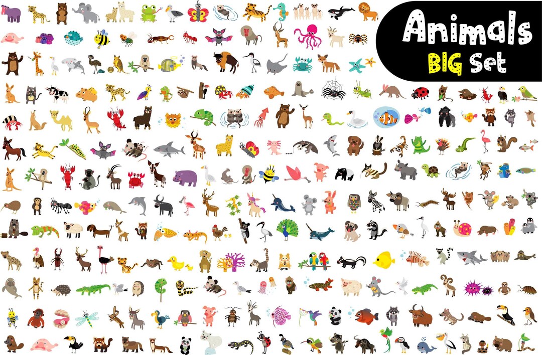 Animal Clip Art Set - Etsy