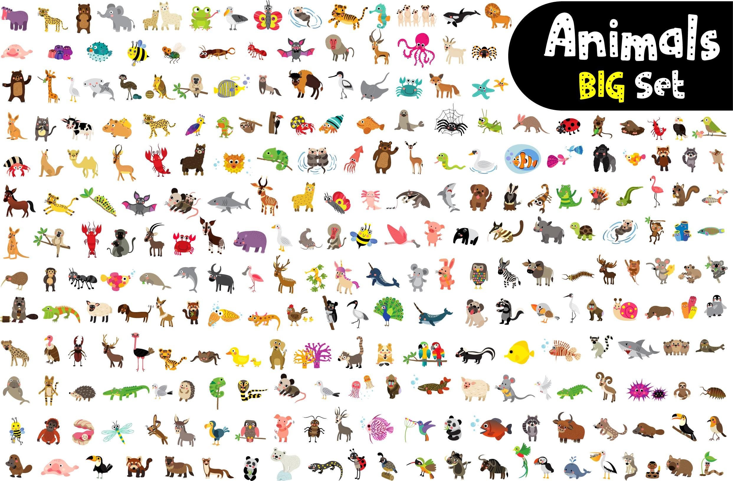 Animal Clip Art Set - Etsy