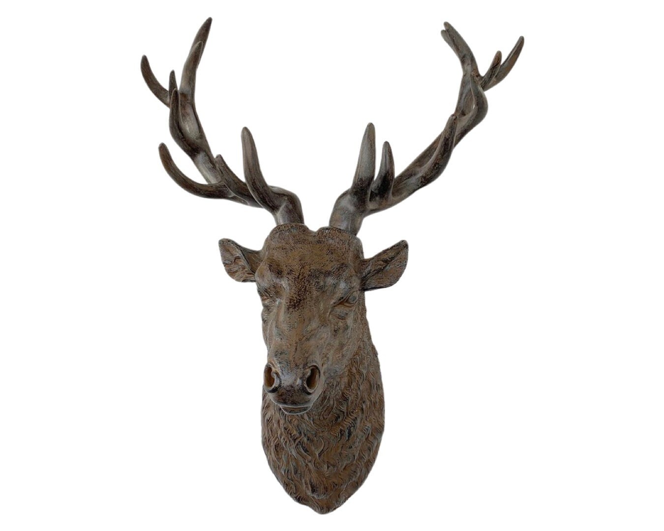 Grande Bronze Deer Head - Etsy