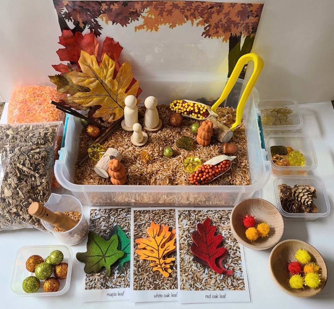 Fall Themed Sensory Bin - Etsy
