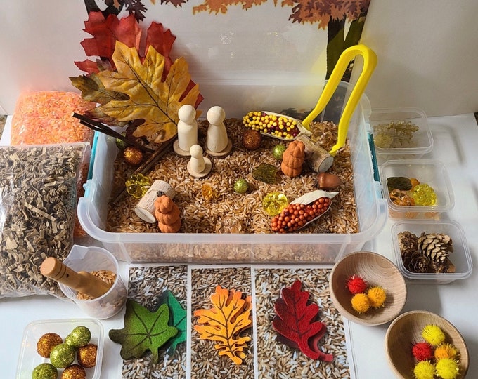 Fall Themed Sensory Bin - Etsy