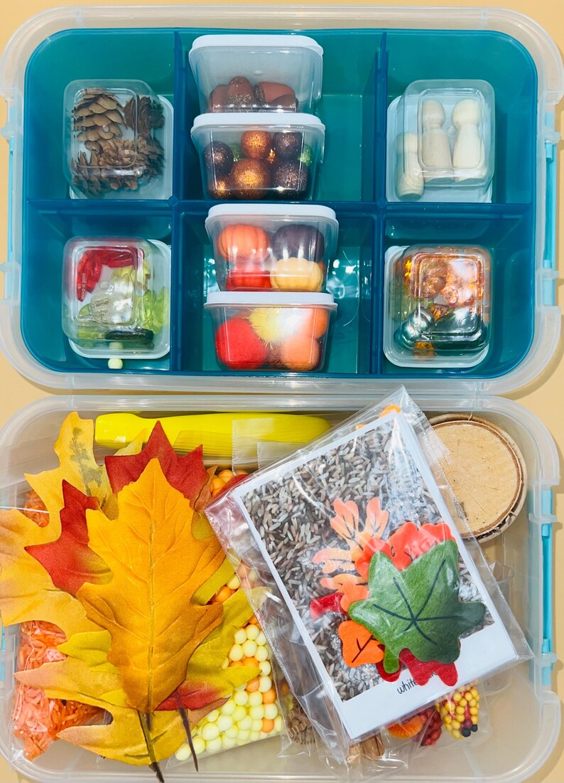 Fall Themed Sensory Bin - Etsy