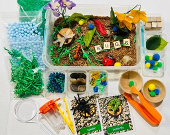 Insects and Bugs Preschool Theme - Etsy