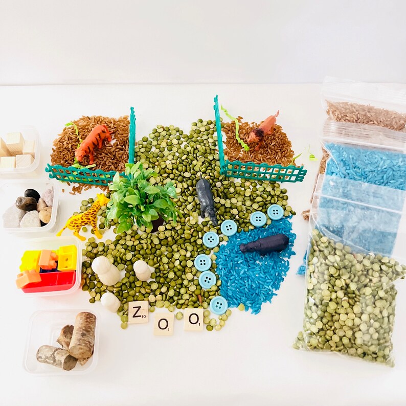 Going to the ZOO Sensory Bin - Etsy