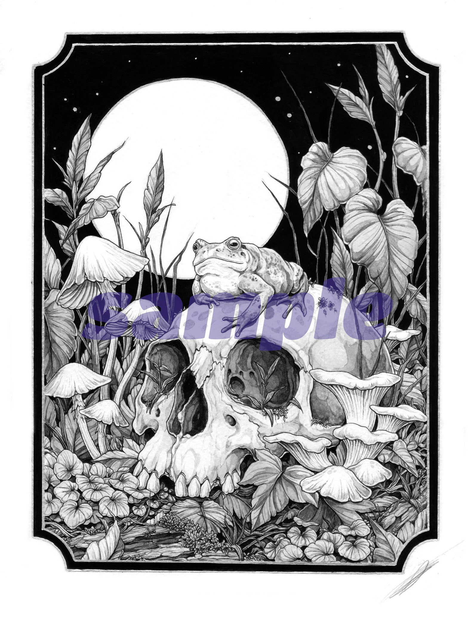 Frog Toad Skull Nature Swamp Art Print, Watercolour Painting Art ...