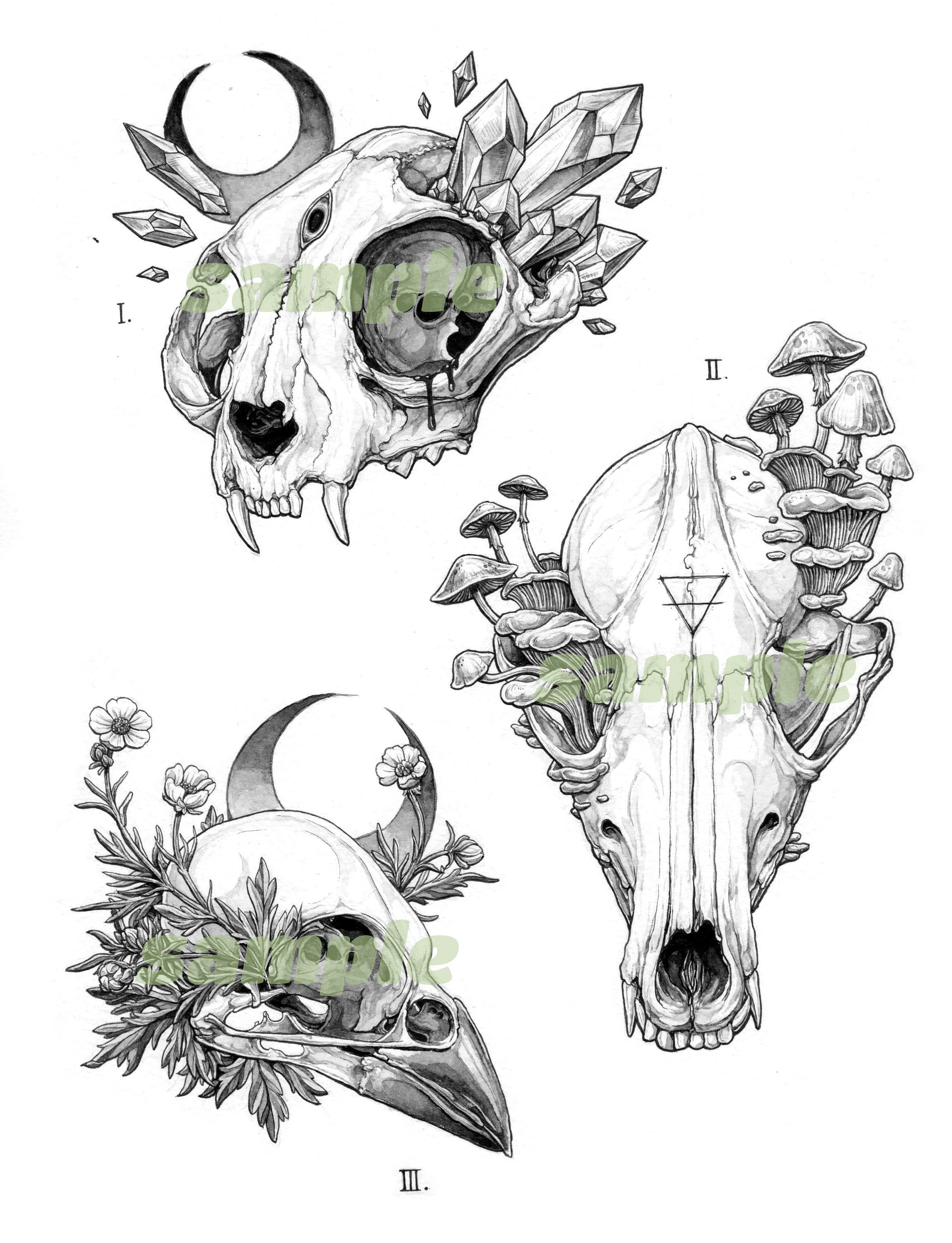 Animal Skulls Tattoo Design Flash Sheet Illustration Art - Etsy Australia