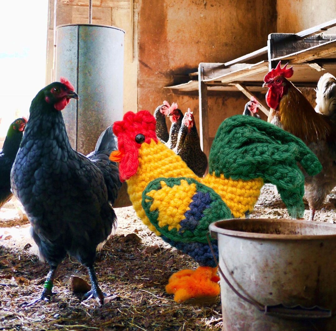 Rooster Crochet Pattern PDF Rooster Amigurumi Cute Rooster - Etsy