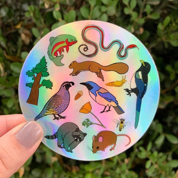 Northern California Stickers - Etsy