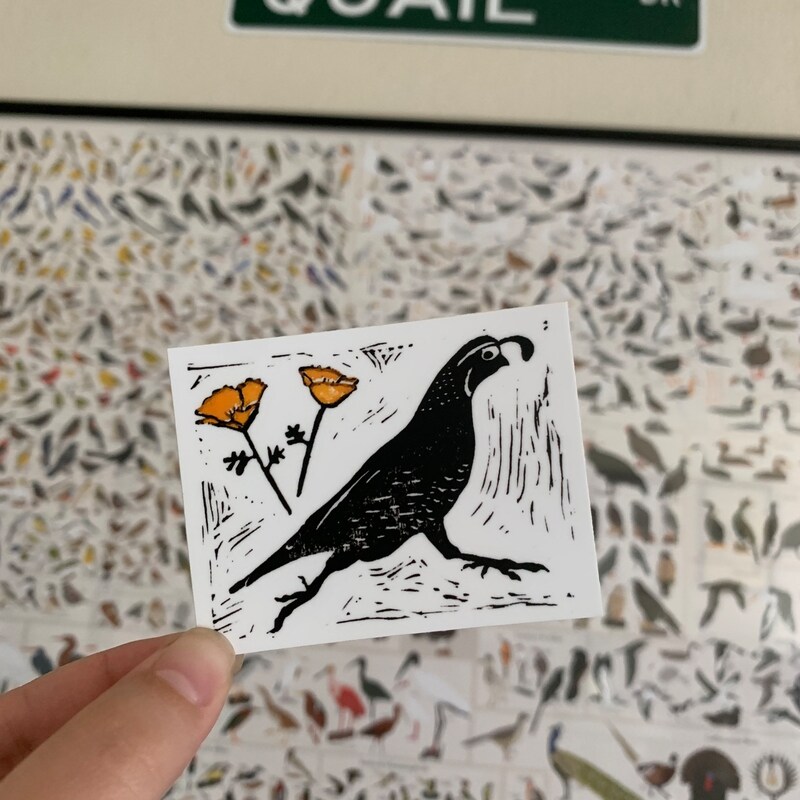 Quail Stickers - Etsy