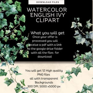 Watercolor Ivy Clip Art,digital Climbing Ivy Vines Clipart, PNG Format ...