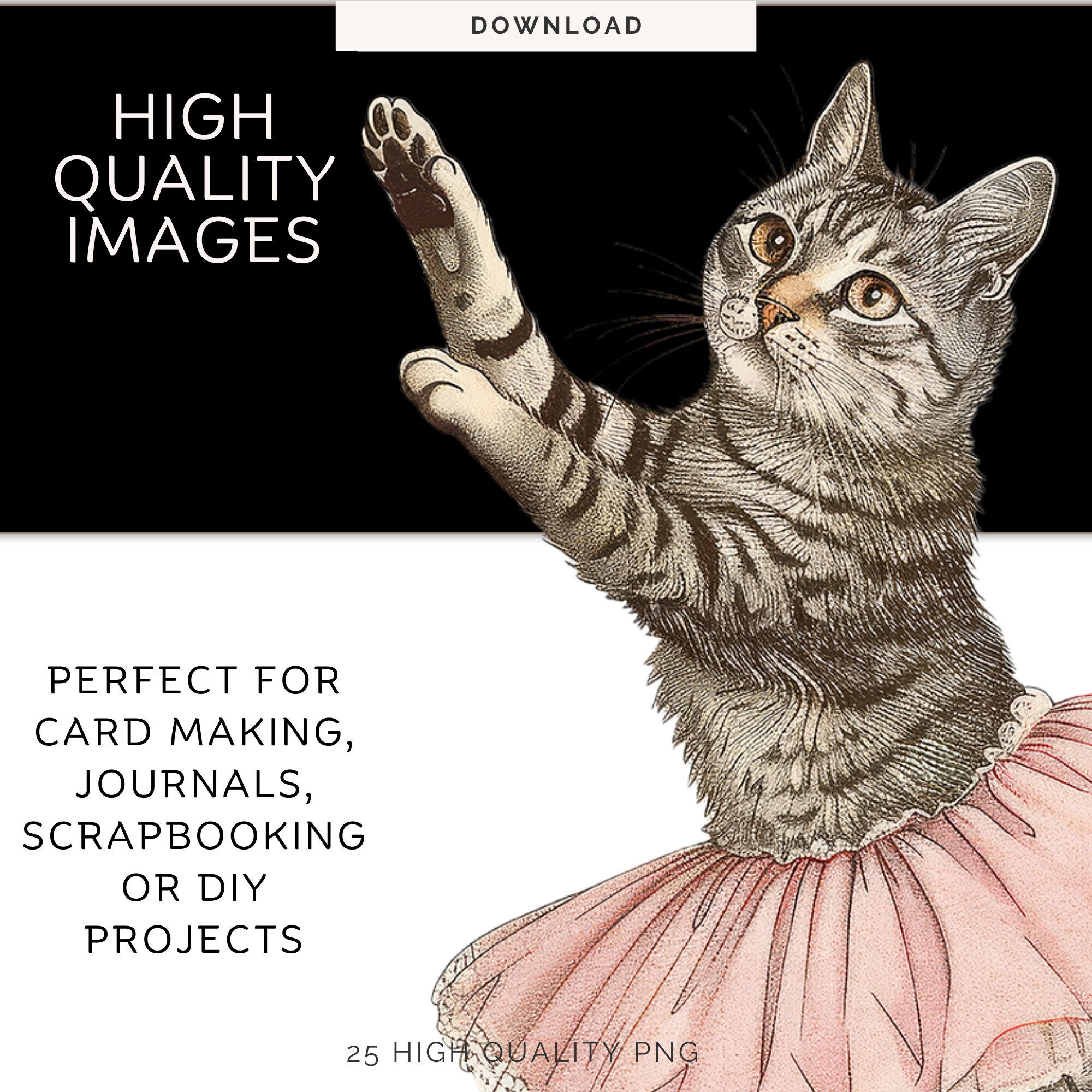Ballerina Cat Clipart Quirky Cat Clipart ballet Cats in Tutu Dress Cute ...