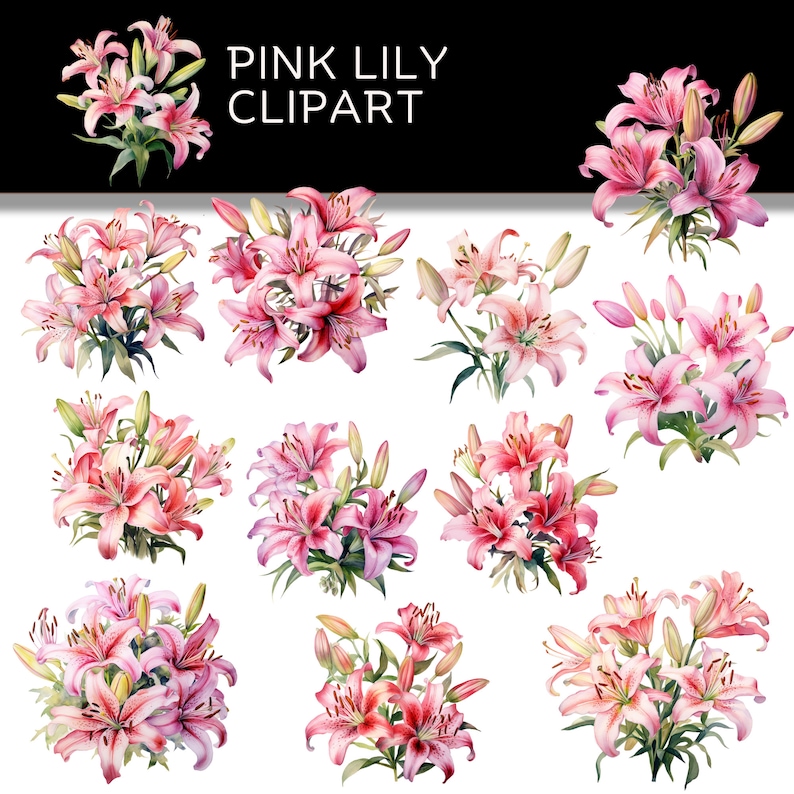 Watercolor Pink Lily Clipart | Lily Floral Clipart | Watercolor Lilies ...