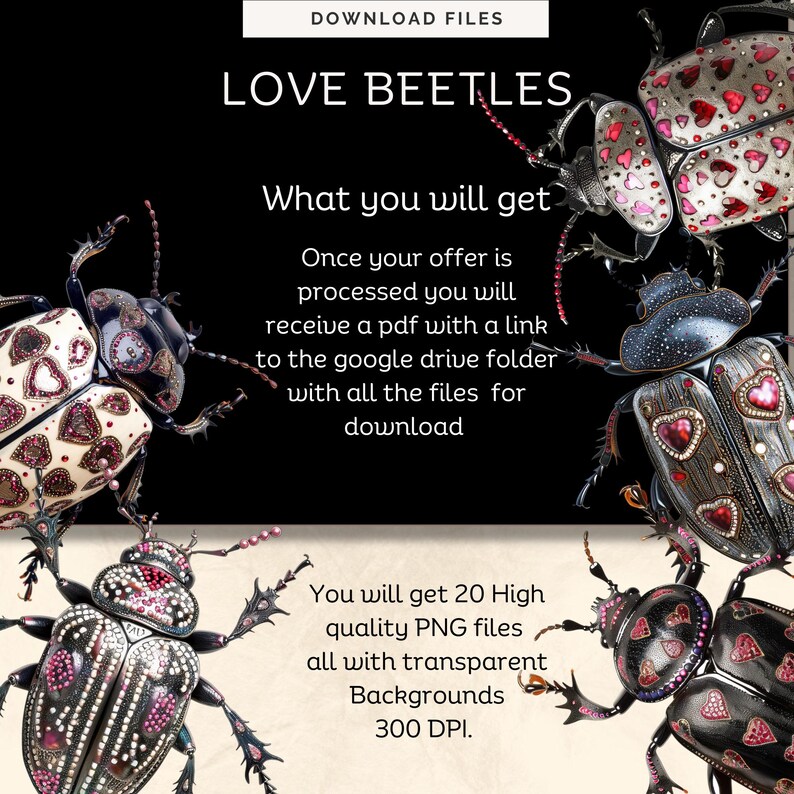 Love Beetle Clipart Bundle, Folk Art Insect PNG (digital Download) - Etsy