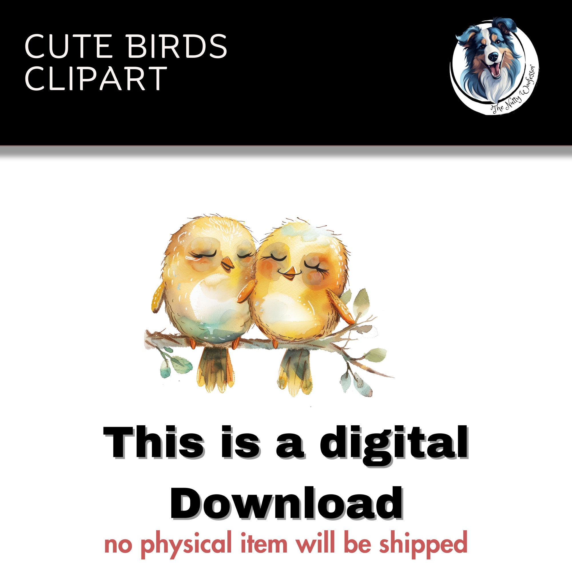 Nursery Art Bird Cartoon Watercolor Digital Download Card Making Funny ...