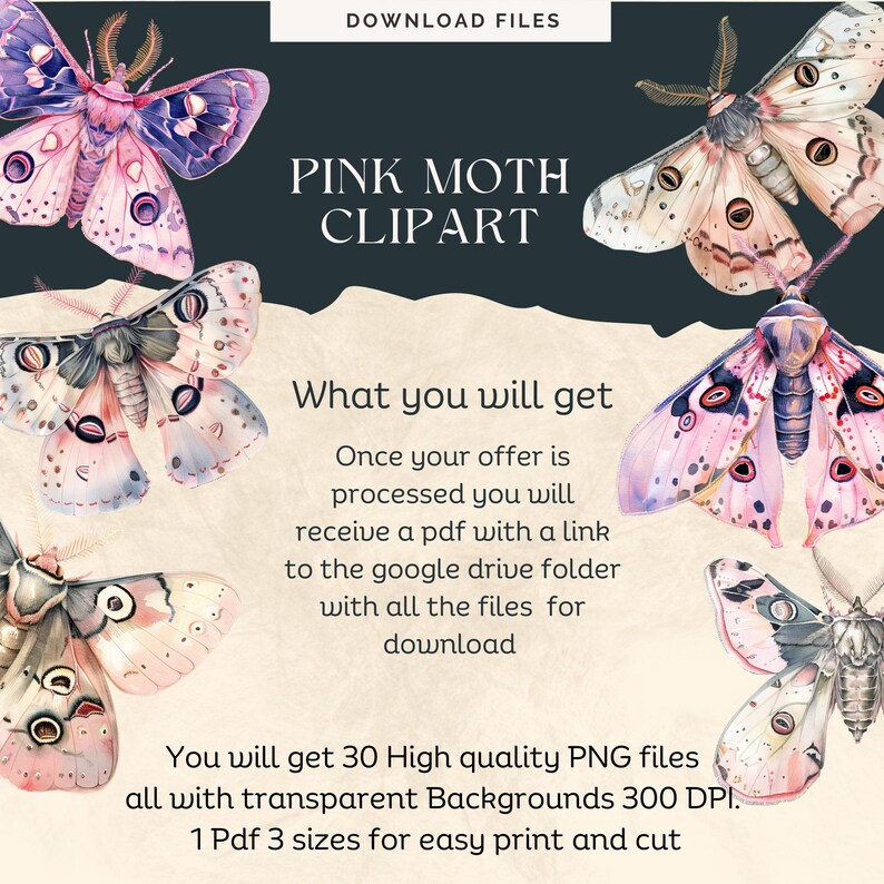 30 Pink Moth Clipart PNG, Transparent Background, Whimsical Vintage ...