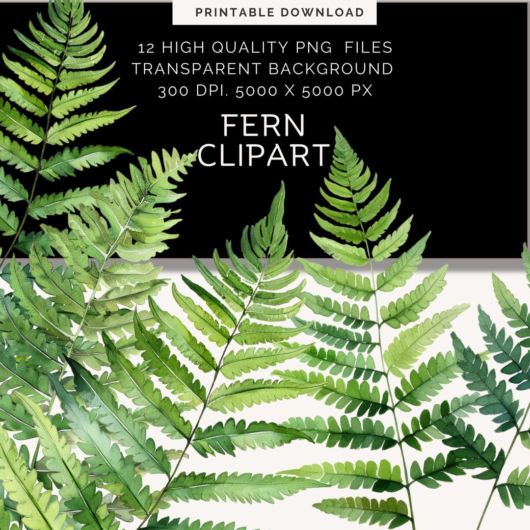 Watercolor Fern Clipart | Greenery Clip Art for Wedding Invitation ...