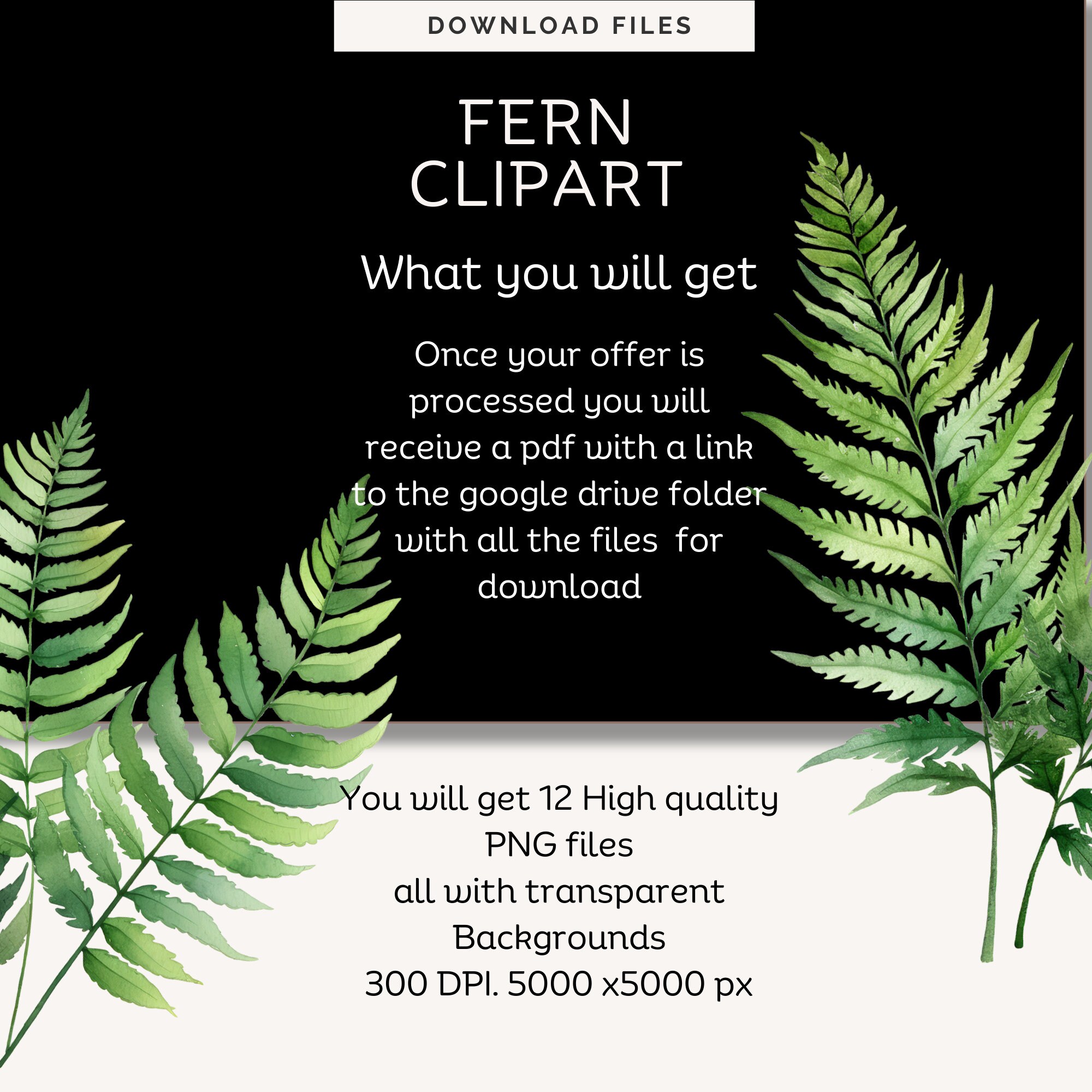 Fern Clipart Paper Craft Fern Png Jpg Eucalyptus Clipart Boho Wedding ...