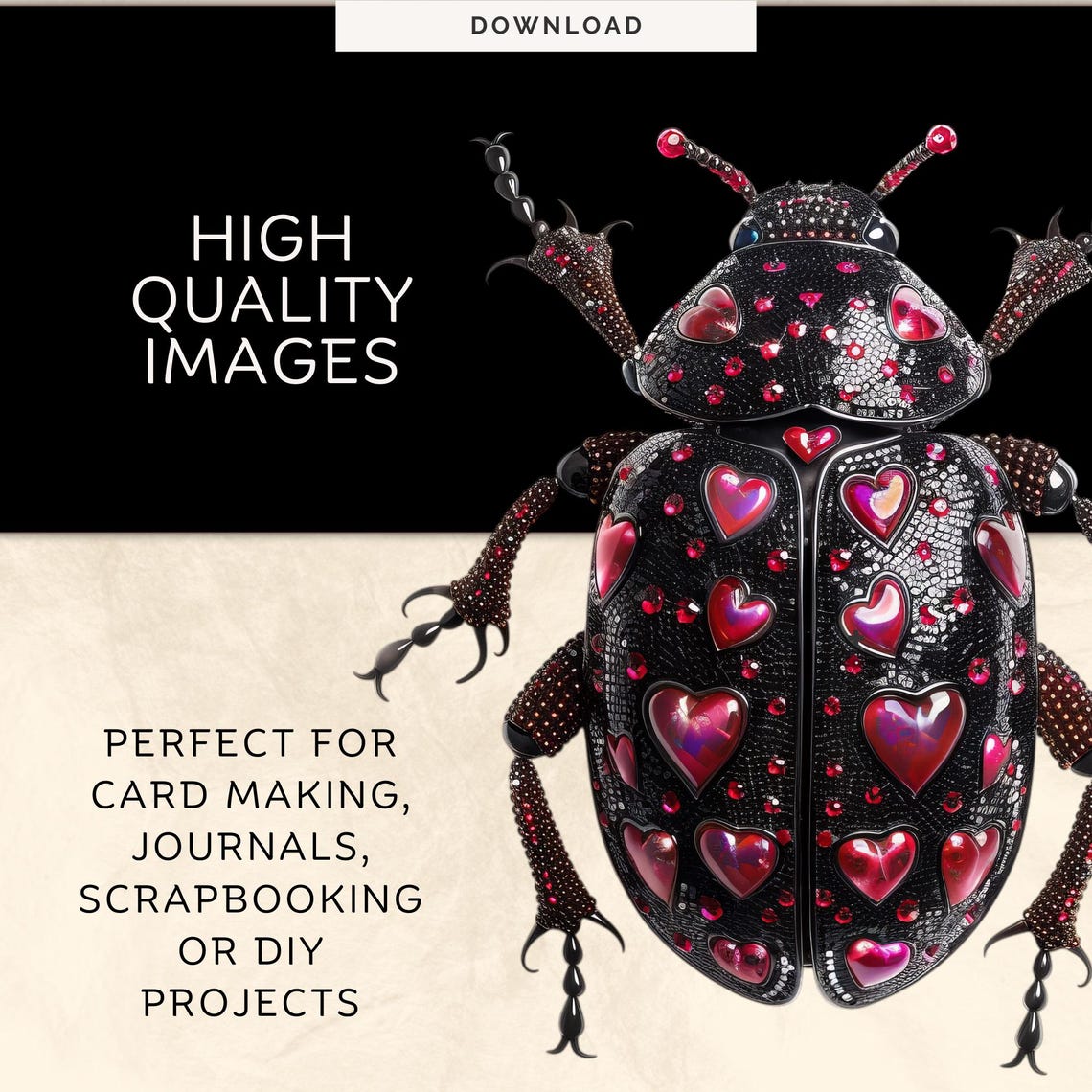Love Beetle Clipart Bundle, Folk Art Insect PNG (digital Download) - Etsy
