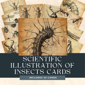 Vintage Insects Junk Journal Pages, Digital Scrapbook Paper Kit ...