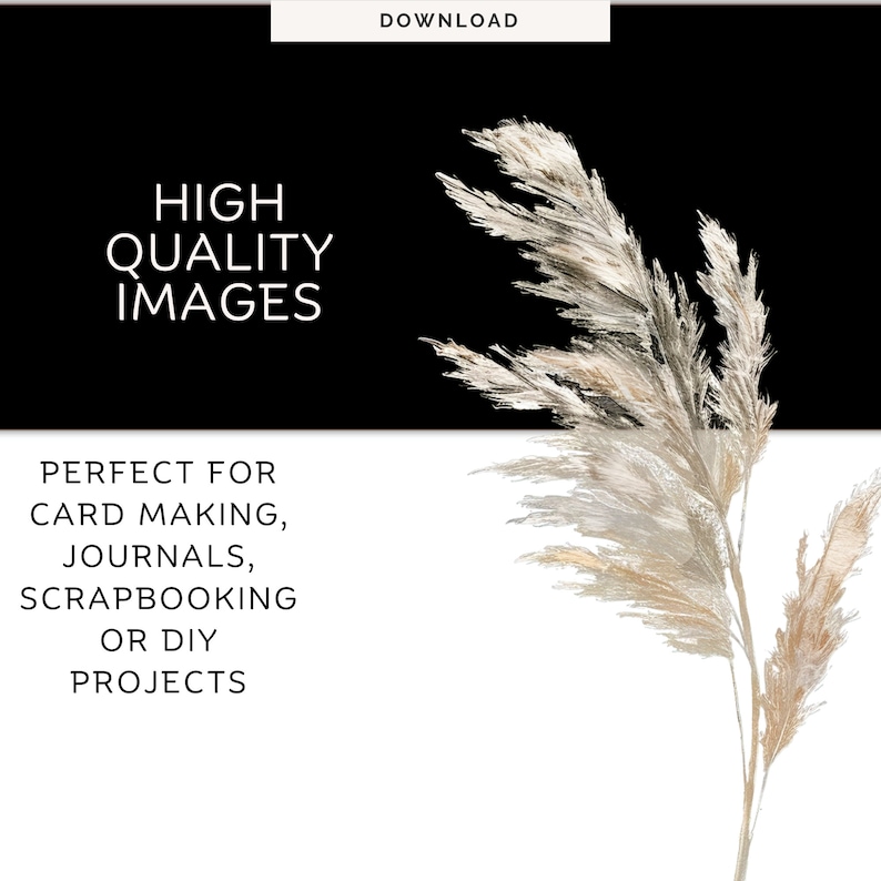 Pampas Grass Clipart Diy Boho Pampas Grasses Flowers Printable Commercial Use Watercolor Flower ...