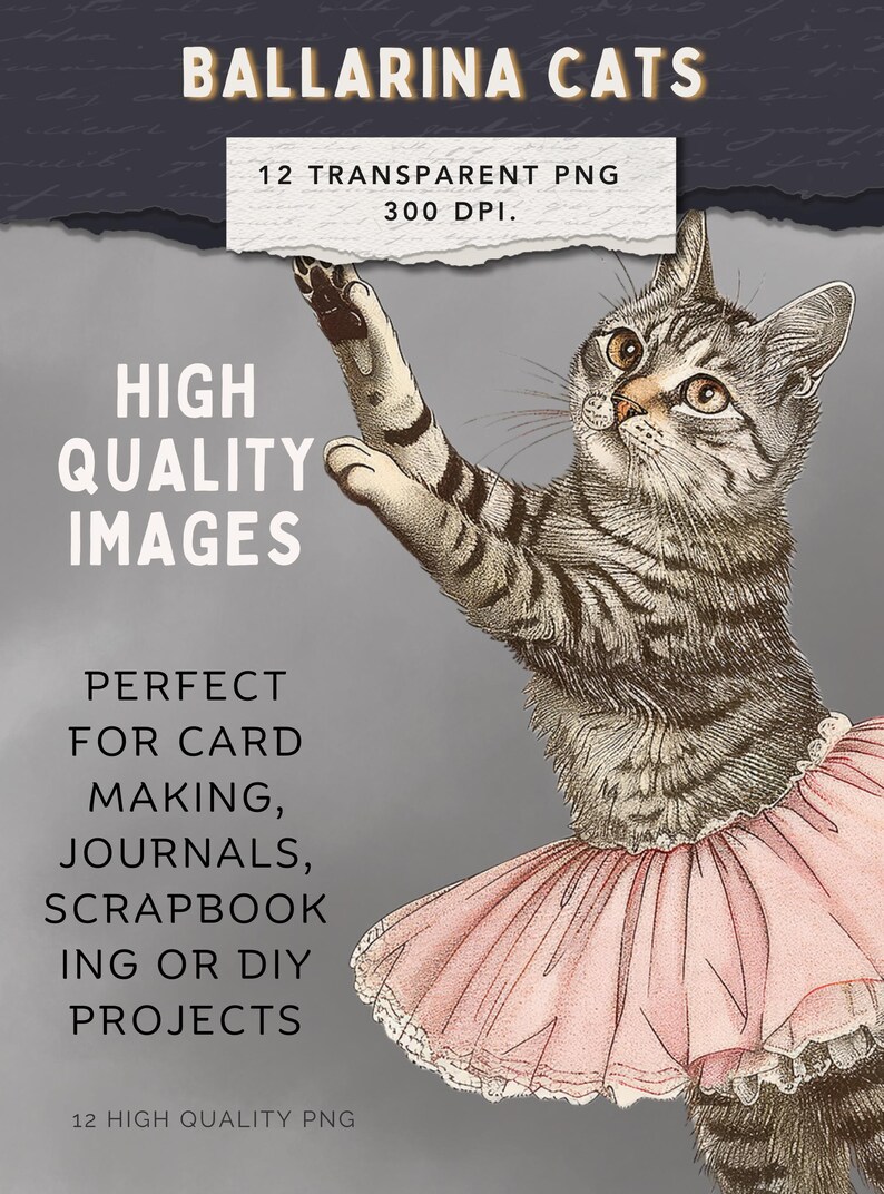 Ballerina Art Cat Clipart | Quirky Cat Clipart |ballet Cats Tutu Dress ...